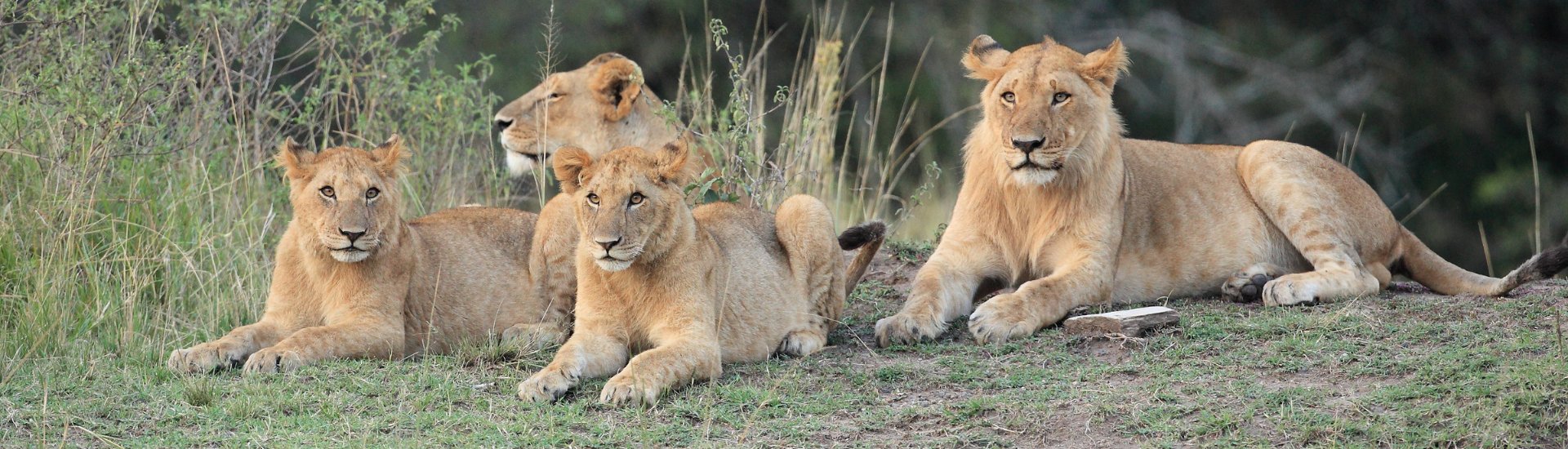 Worldwide Family Holidays